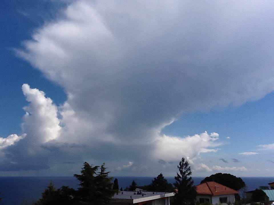 Vento, mare mosso instabilità sul mare. Foto all'interno ...